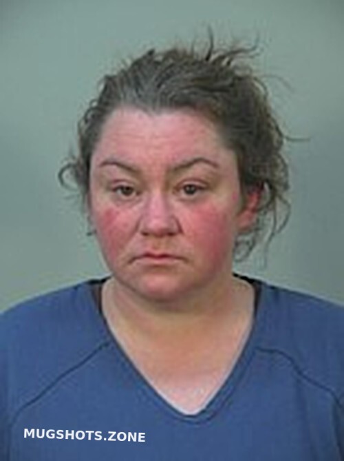 STEVENS KRISTINA G 10/28/2023 - Dane County Mugshots Zone