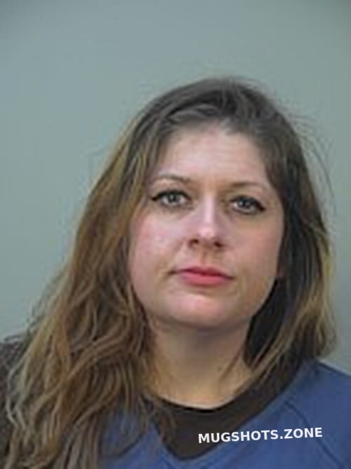 JOHANSON AMANDA LYNN 11/06/2023 - Dane County Mugshots Zone