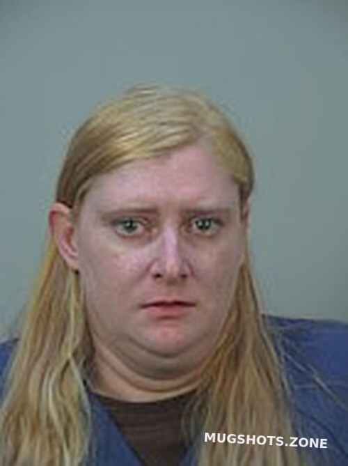 HARDING LISA MARIE 11/10/2023 - Dane County Mugshots Zone