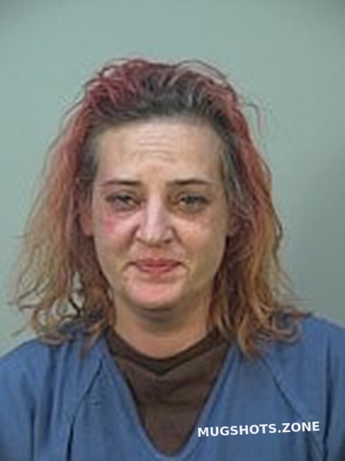 MITICH MARY BETH 12/23/2023 - Dane County Mugshots Zone