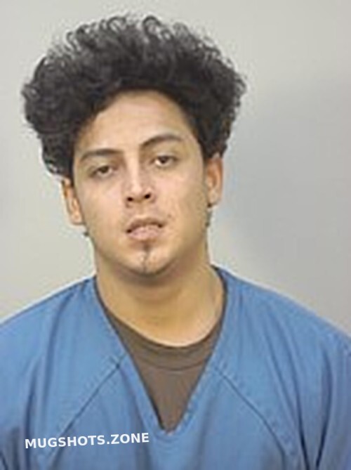 REYES CERNA DEYLER DANIEL 01/31/2024 - Dane County Mugshots Zone