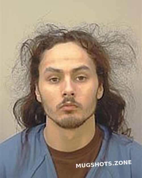 HENRY-TRZYNKA JOSEPH PETER 02/03/2024 - Dane County Mugshots Zone