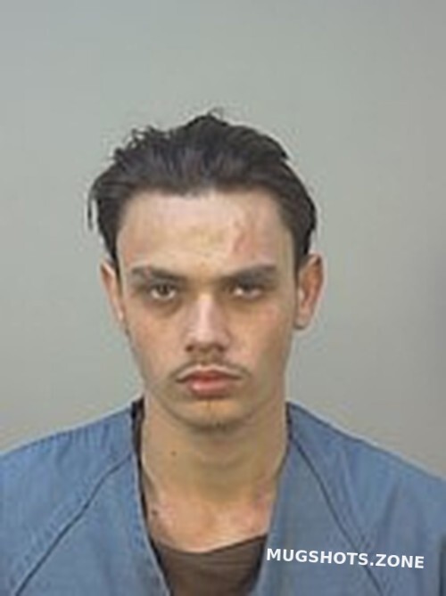 VINCENT JAX LIAM 02/03/2024 - Dane County Mugshots Zone