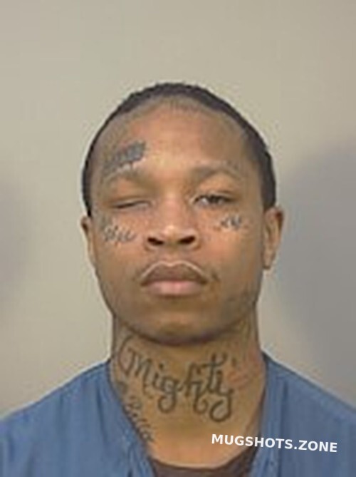 LINUS BROWN BRENDON JOHANN 02/26/2024 - Dane County Mugshots Zone