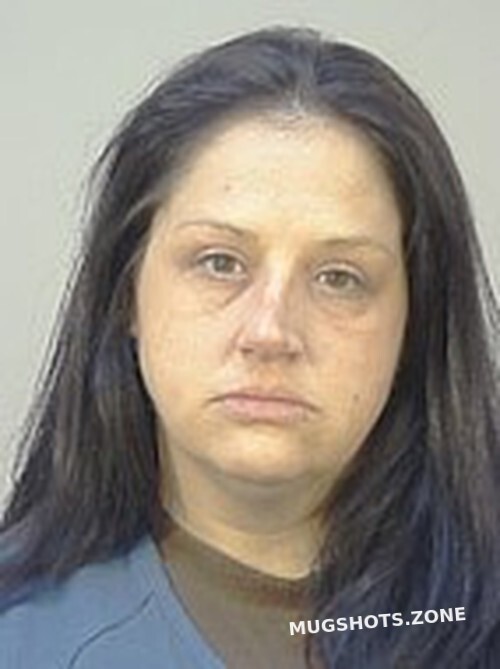 SHEETS APRIL MARIE 03/08/2024 - Dane County Mugshots Zone
