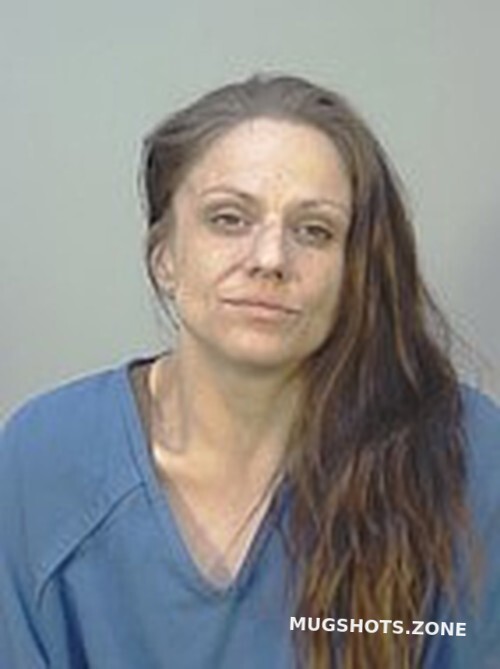 GOWEN JILLIAN ANN 03/11/2024 - Dane County Mugshots Zone