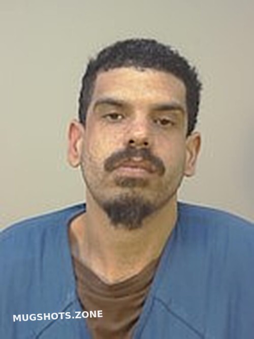 WILEY JOSHUA ADAM 03/19/2024 - Dane County Mugshots Zone