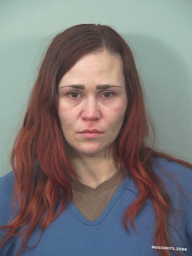 JESTER ASHLEY MARIE 03/27/2024 - Dane County Mugshots Zone