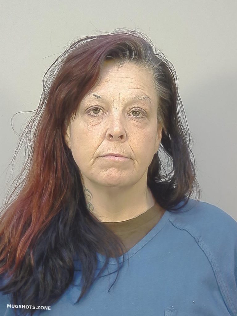 BEAR LAYLA ANN 04/17/2024 - Dane County Mugshots Zone
