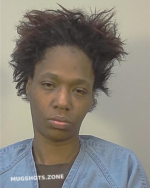 CROSS-PINKNEY TERESA NICOLE 04/23/2024 - Dane County Mugshots Zone