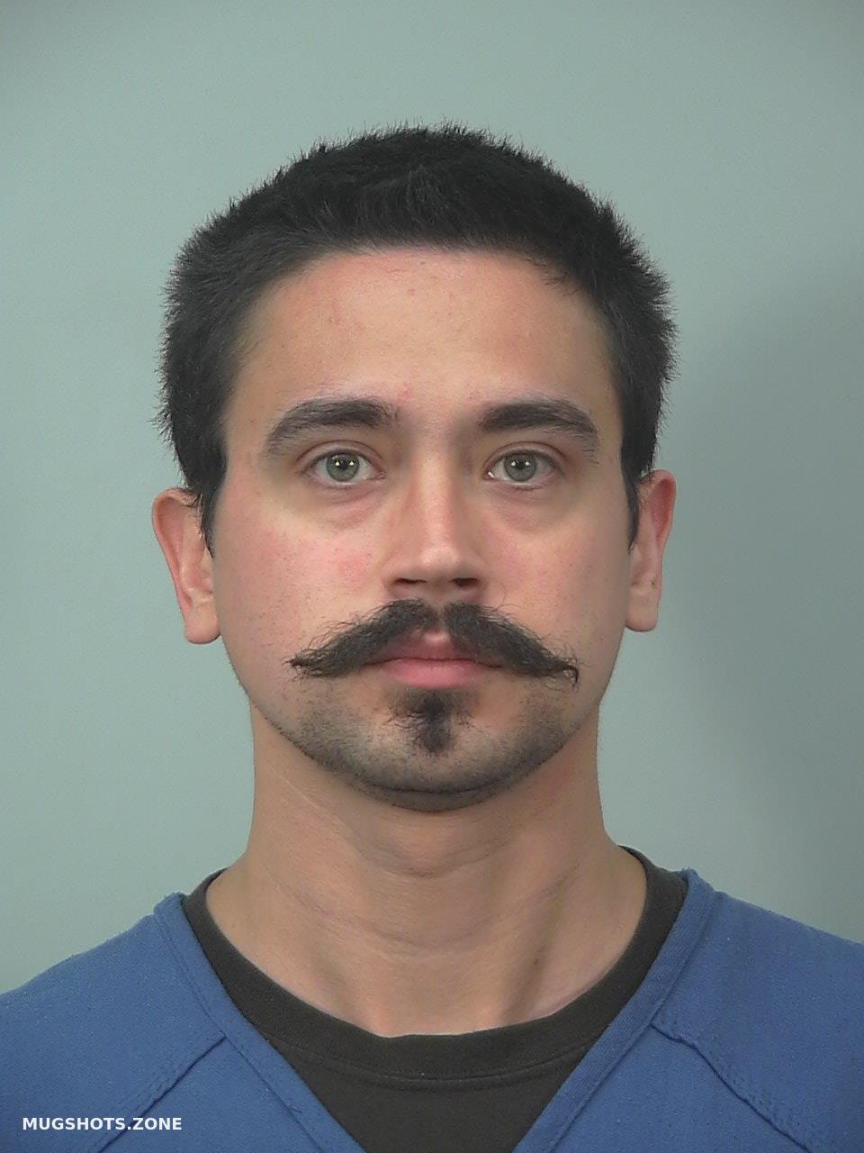 VALLIN-LARSON NICO ANTONIO 04/25/2024 - Dane County Mugshots Zone