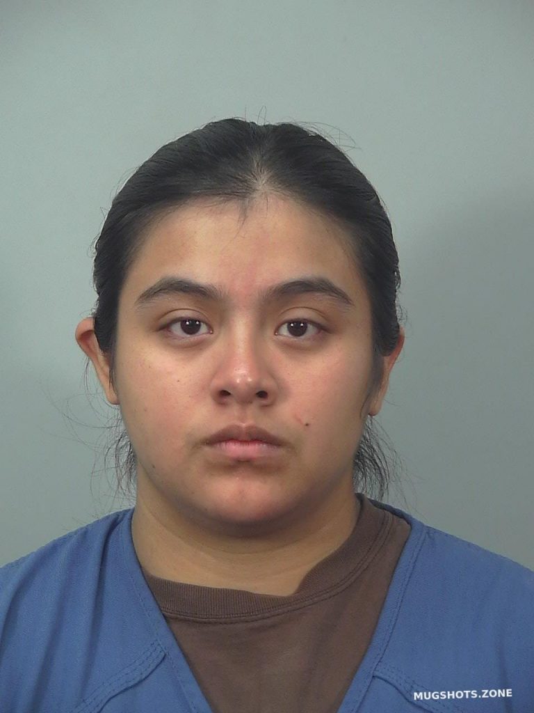 RAMIREZ TREJO BRENDA VIRIDIANA 04/26/2024 - Dane County Mugshots Zone