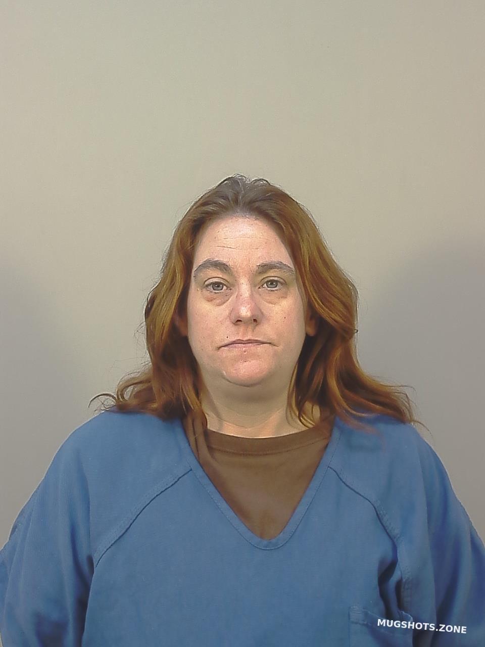 ANDERSON MANDY SUE 05/10/2024 - Dane County Mugshots Zone