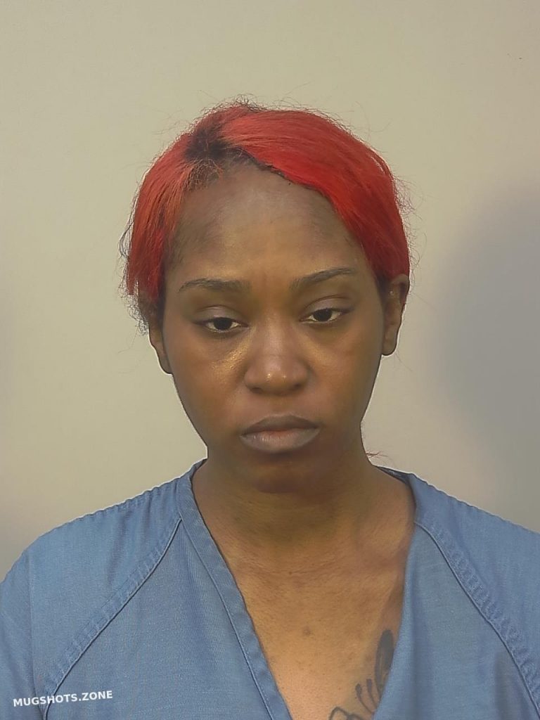 JOHNSON NATAVIA S 06/09/2024 - Dane County Mugshots Zone