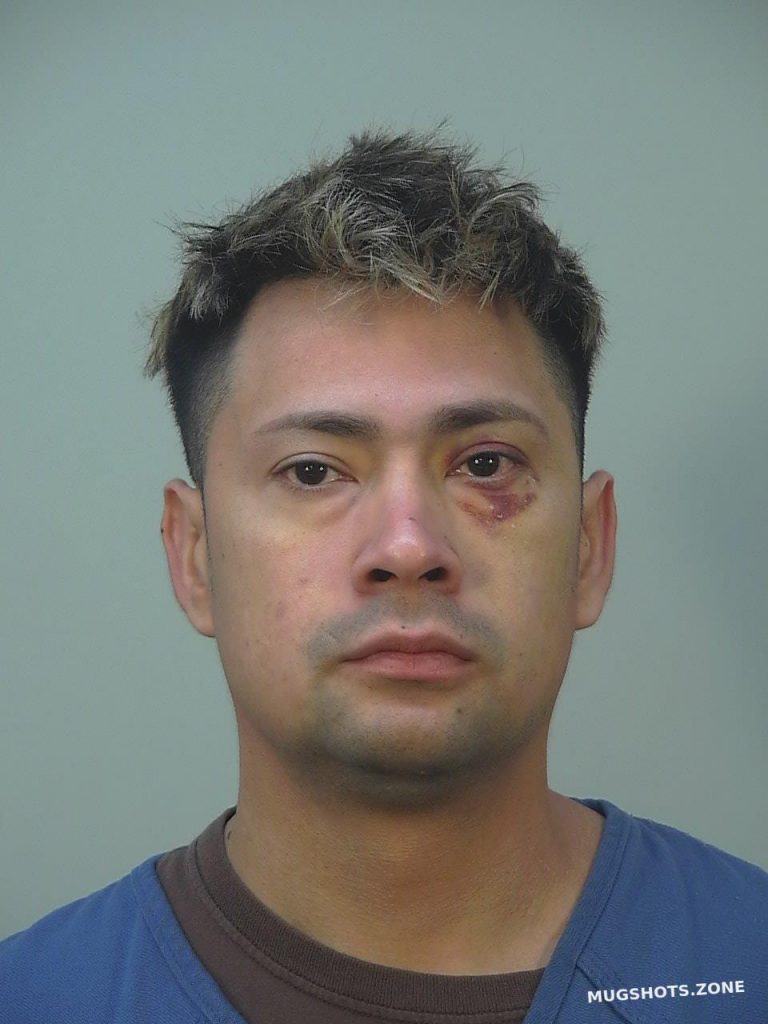RODRIGUEZ-MEDRANO LESTER JOSE 06/14/2024 - Dane County Mugshots Zone