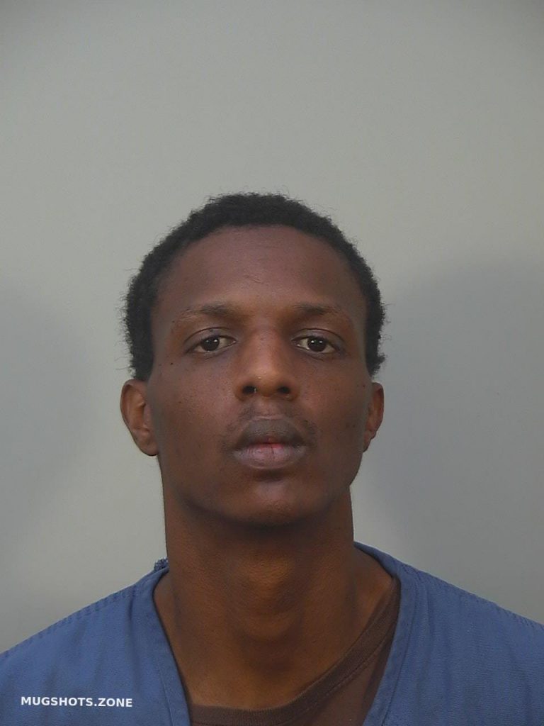 REASON SEAN KENNETH 06/23/2024 - Dane County Mugshots Zone