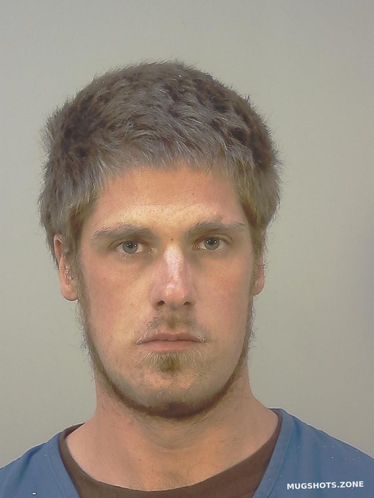 HAMILTON PETER GABRIEL 06/28/2024 - Dane County Mugshots Zone