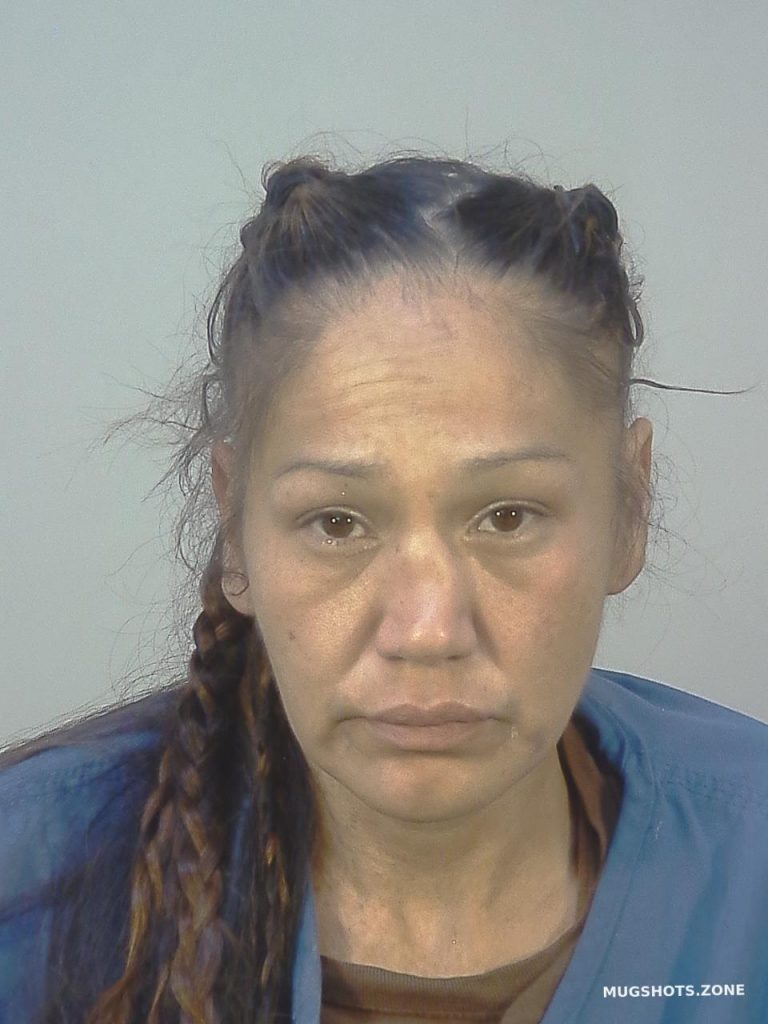 FISHER MARY JANELLE 07/28/2024 - Dane County Mugshots Zone