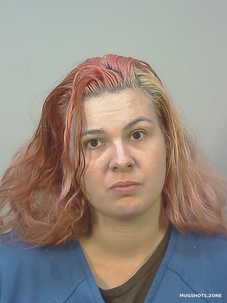 MENDEZ DEZARAY DESTINY 07/30/2024 - Dane County Mugshots Zone