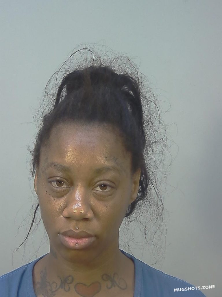 WILLIAMS CHANEL RENEE 08/01/2024 - Dane County Mugshots Zone