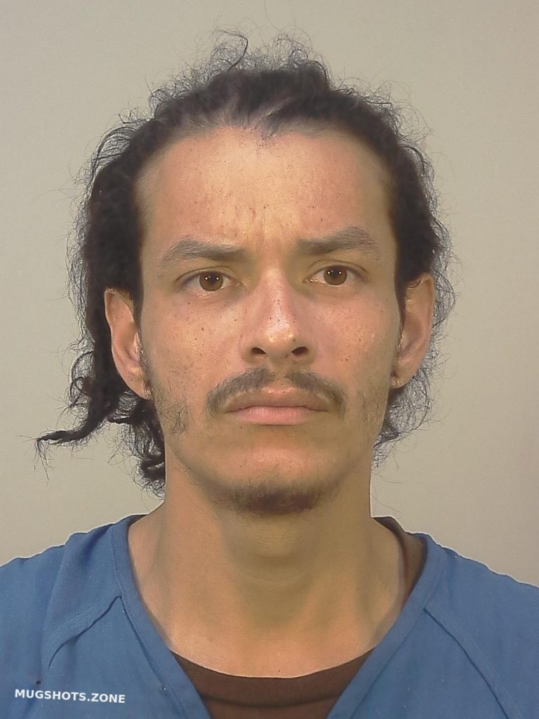 WALLACE ALEXANDER RAY 08/01/2024 - Dane County Mugshots Zone