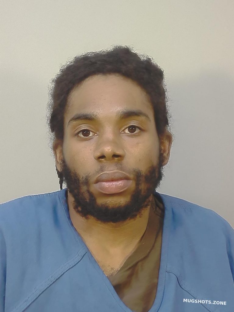 THOMAS JAMES LEE 08/10/2024 - Dane County Mugshots Zone