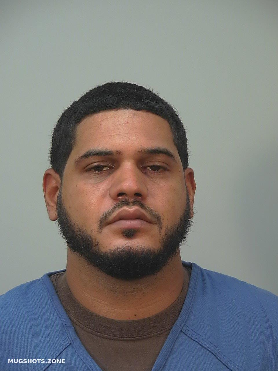 WILLIAMS MICHAEL LAMONT 08/17/2024 - Dane County Mugshots Zone