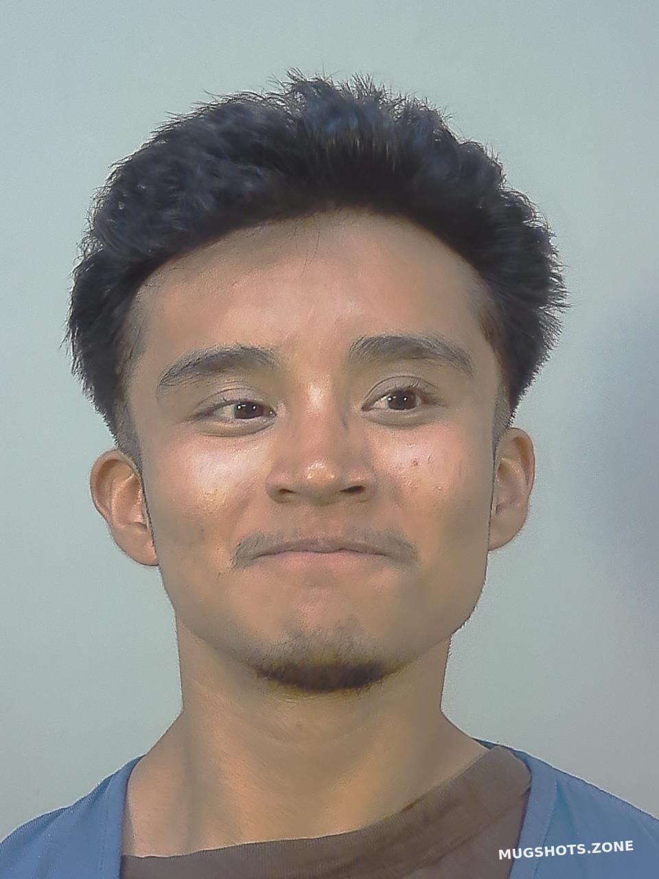 PINEDA AME N/A 08/18/2024 - Dane County Mugshots Zone