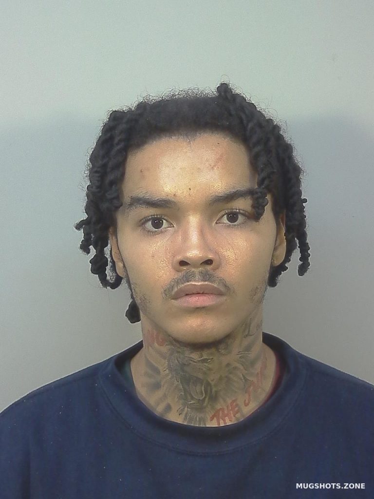 YOUNG TOWAIN TERRELL 08/19/2024 - Dane County Mugshots Zone