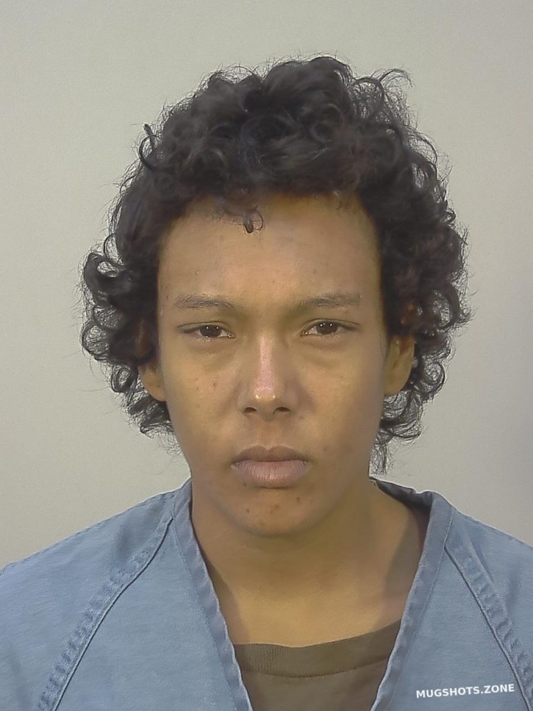 PHENEGAR HANNAH KAY 08/21/2024 - Dane County Mugshots Zone