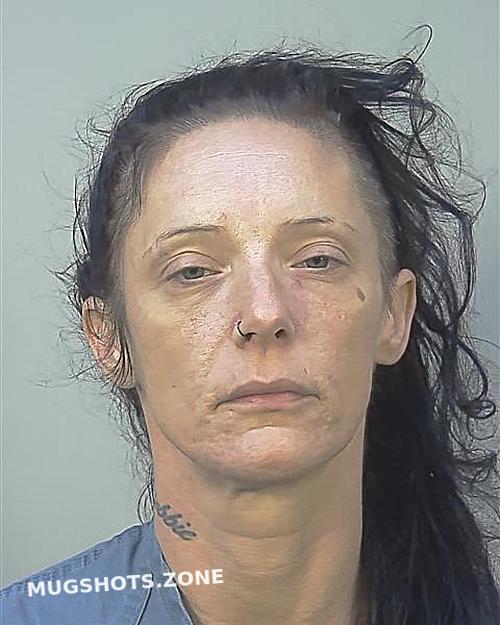 JOHNSON DEBRA KAYE 09/04/2024 - Dane County Mugshots Zone