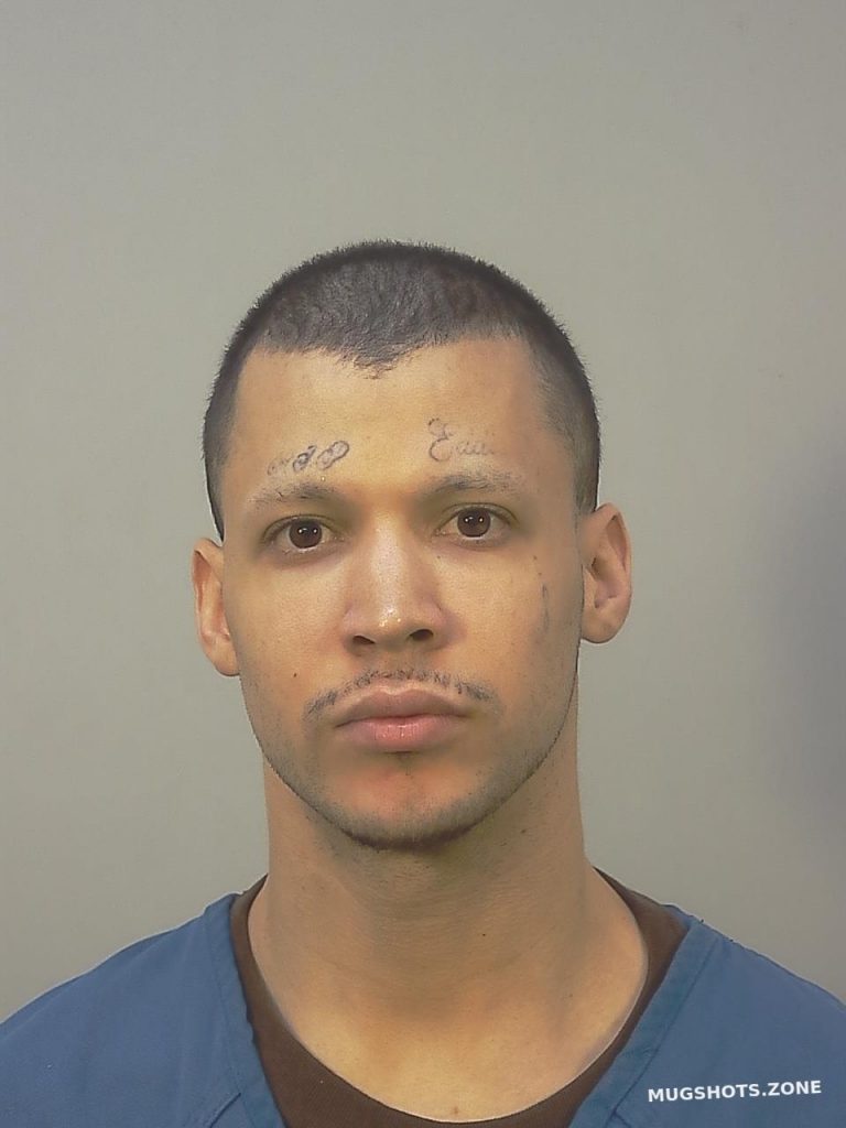 CARTAGENA MOLINA DAVID ELIJAH 09/06/2024 - Dane County Mugshots Zone