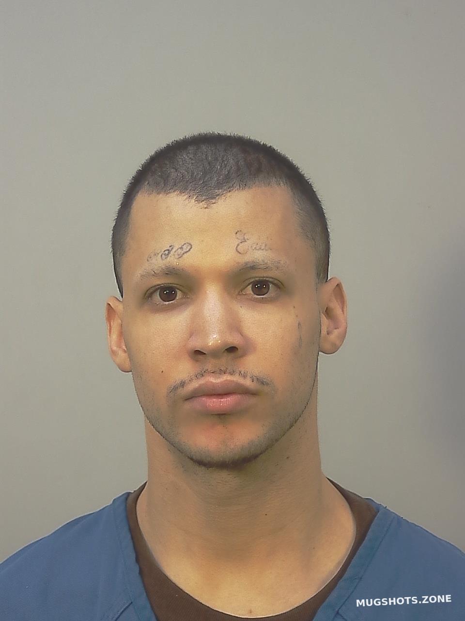 CARTAGENA MOLINA DAVID ELIJAH 09/06/2024 - Dane County Mugshots Zone