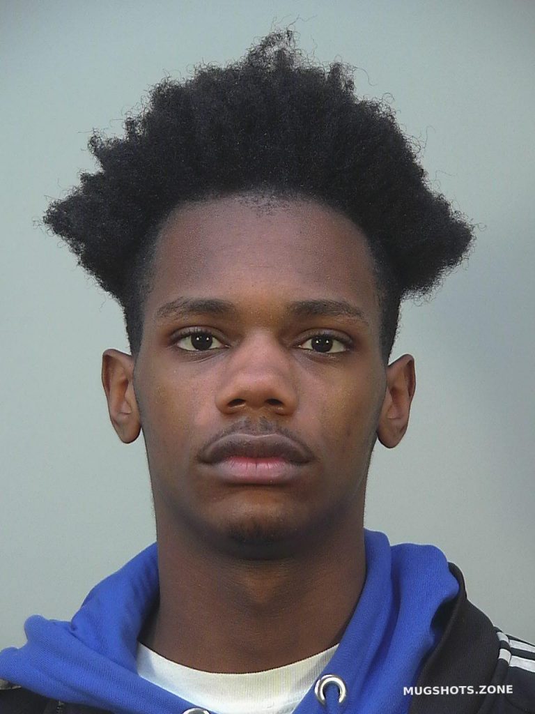 WILLIAMS DAVEON SHAMON 09/07/2024 - Dane County Mugshots Zone