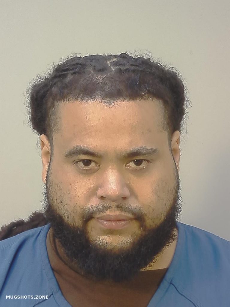 WEBSTER TIMOTHY STEVEN 09/14/2024 - Dane County Mugshots Zone