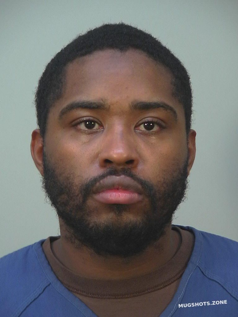 WHITE ADRIAN LEONTE 09/17/2024 - Dane County Mugshots Zone