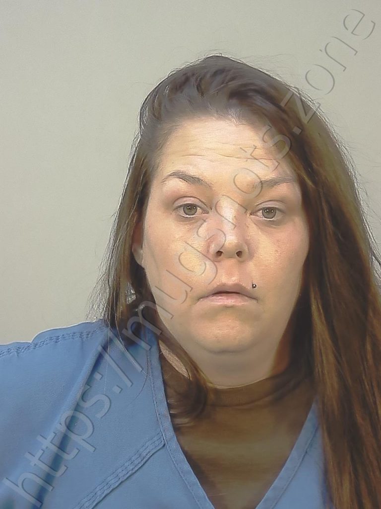 LAUREN ELIZABETH LINLEY 09/12/2025 - Dane County Mugshots Zone