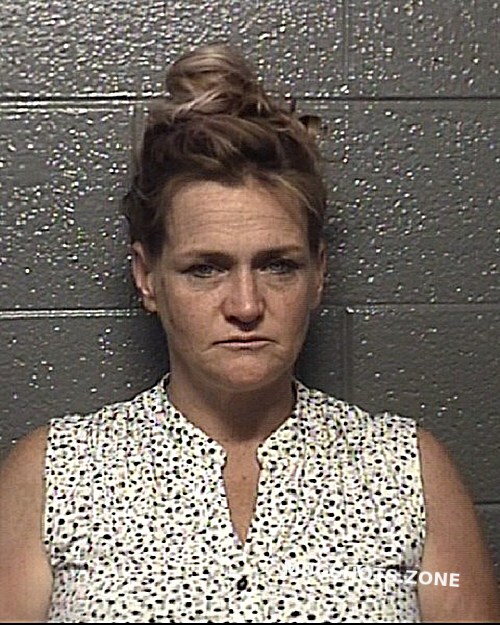 CITTY APRIL MICHELLE 07/02/2021 - Danville Mugshots Zone