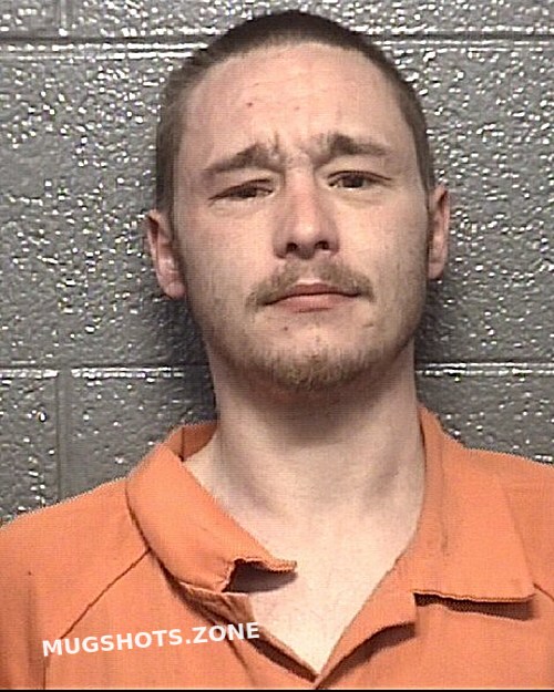 REINHARDT SAMUEL CAMERON 04/26/2022 - Danville Mugshots Zone