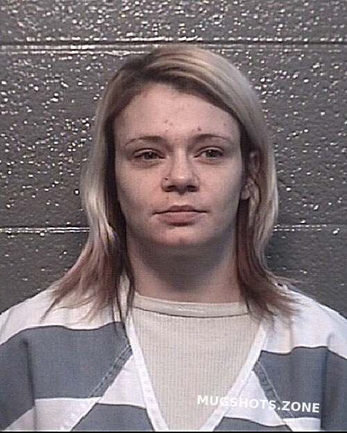 WHITE ALLISON RENEE 11/04/2022 - Danville Mugshots Zone