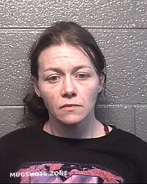 Towler Amber Denise 11152022 Danville Mugshots Zone