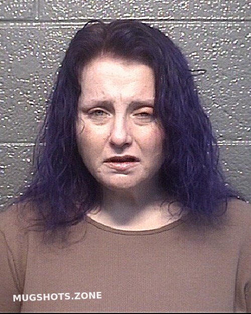 Burnett Brandy Nicole 11 18 2022 Danville Mugshots Zone