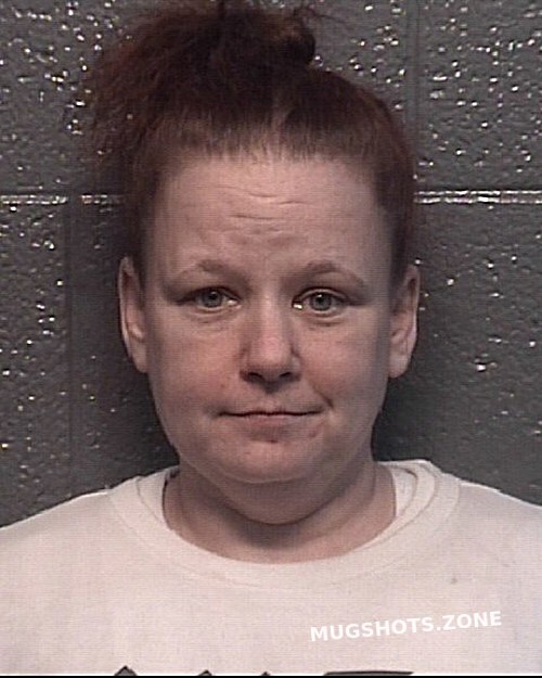 HOLLOWAY DIANE RENEE GROGAN 05/04/2023 - Danville Mugshots Zone