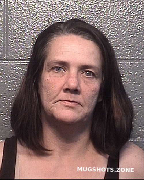 LOVELACE WANDA RENAE 09/03/2023 - Danville Mugshots Zone