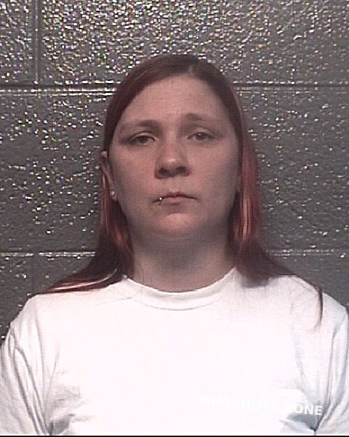 EDLIN BRITTANY JO 03/29/2024 - Danville Mugshots Zone