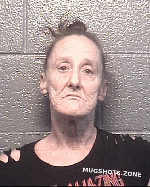 STRAUGHAN LISA ANN 04/28/2024 - Danville Mugshots Zone