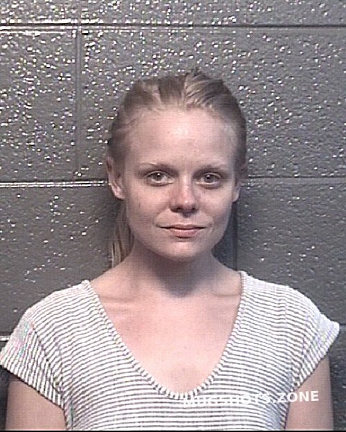 HALL EMILY BROOKE 06/13/2024 - Danville Mugshots Zone