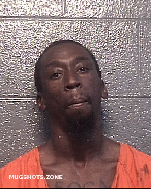 GLOVER ERIN DARNELL 06/24/2024 - Danville Mugshots Zone