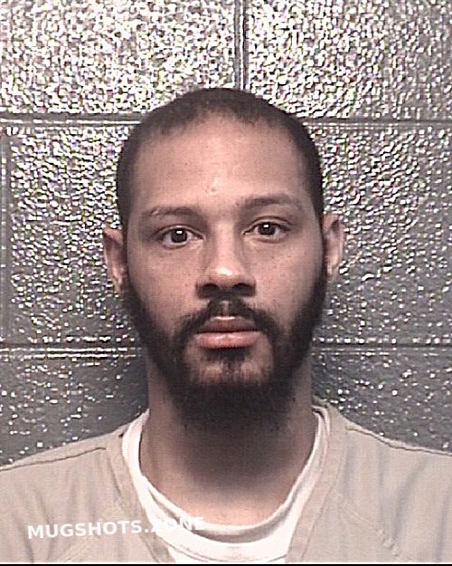 TANNER DAMEO LEE 08/01/2024 - Danville Mugshots Zone