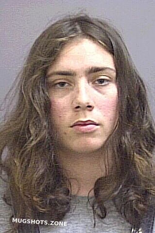 GIBSON AMANDA DIANNE 11/07/2024 - Danville Mugshots Zone